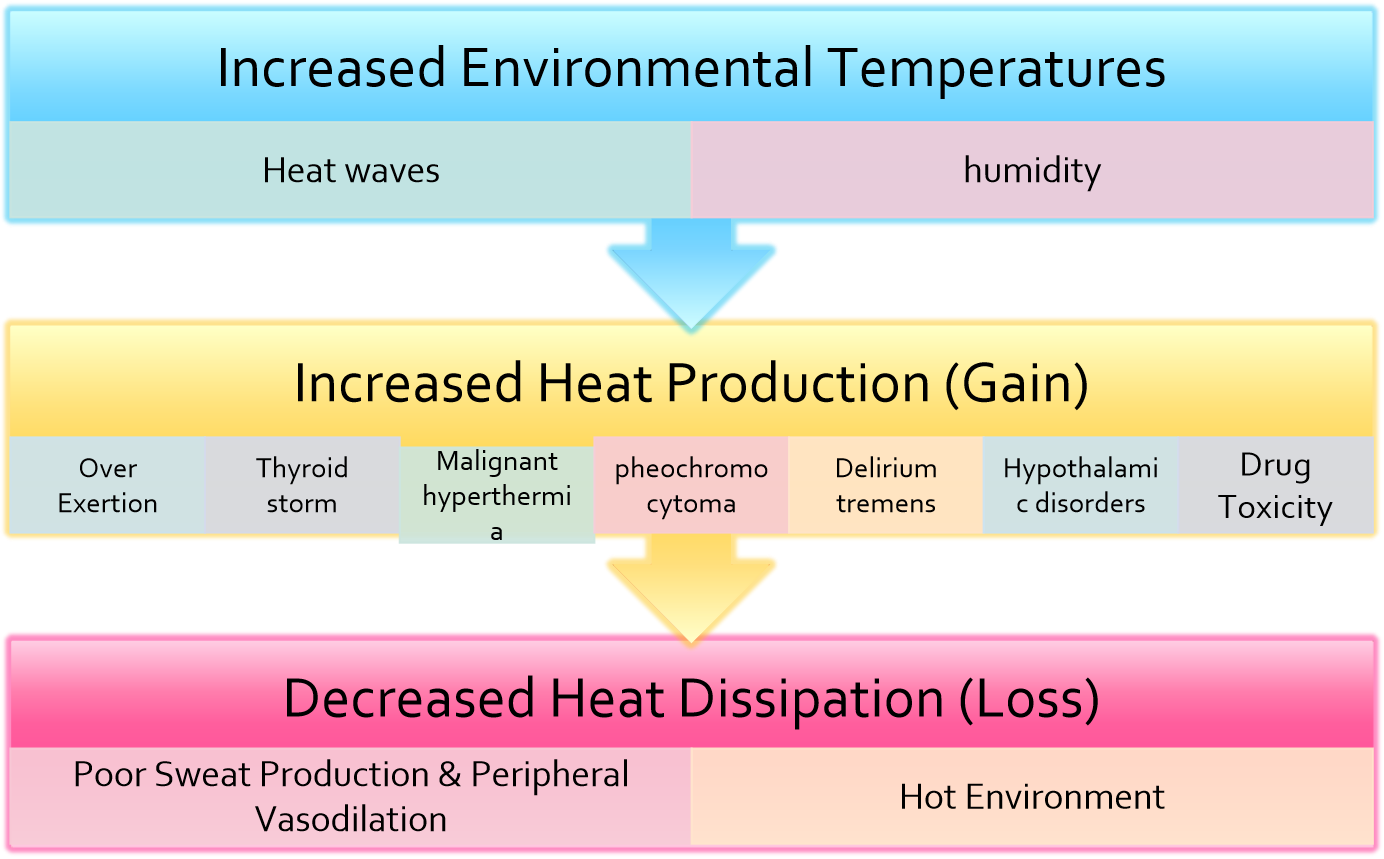 DISORDERS OF INCREASED BODY TEMPERATURE – LEARN NURSiNG EASY